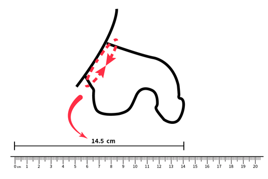TrustLock Sentinel: Ensuring Intimacy Security, Defy Escape – SOULOCK
