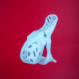 TrustLock Sentinel: Ensuring Intimacy Security, Defy Escape – SOULOCK